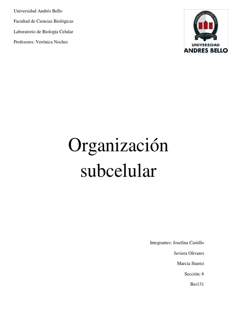 Fraccionamiento Subcelular Informe | PDF | Tinción | Biología Celular)