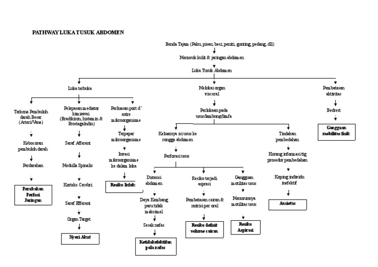 Pathway Luka Tusuk Abdomen | PDF