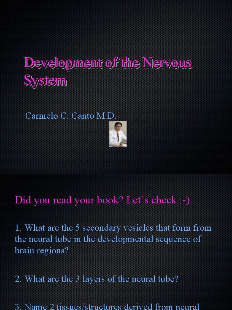 Development of Nervous System - Newkeynote | PDF | Central Nervous ...