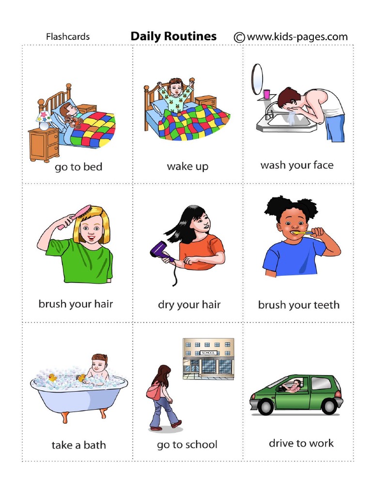 Daily Routines Flashcards | PDF