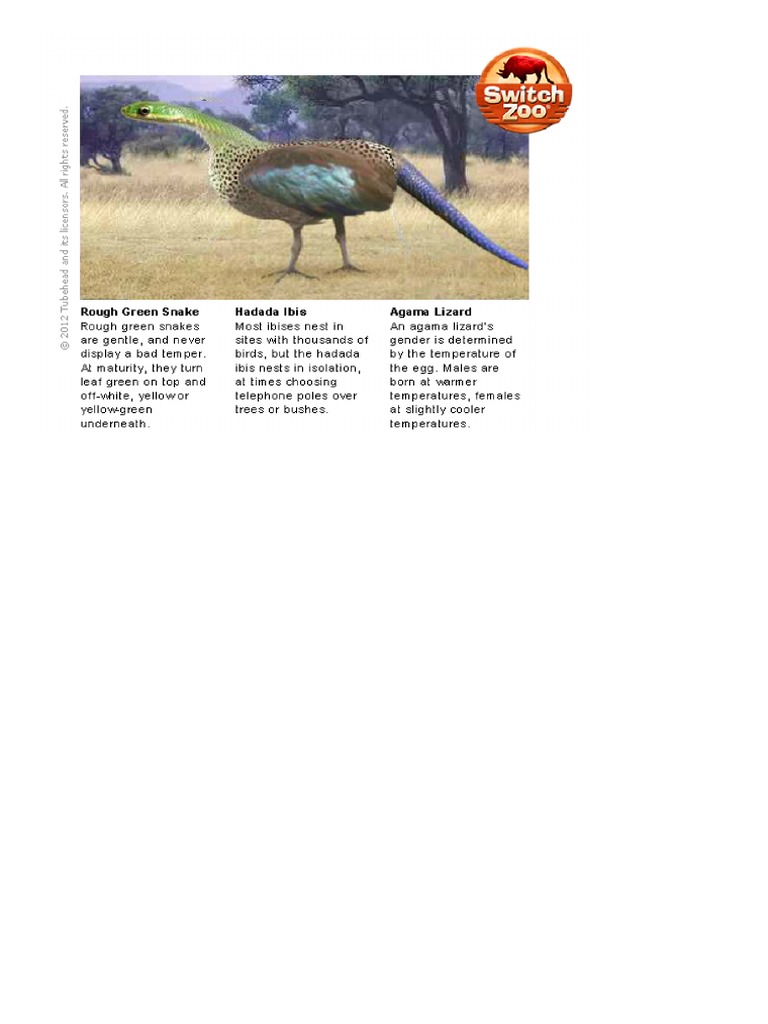 Switch Zoo - Make New Animals | PDF