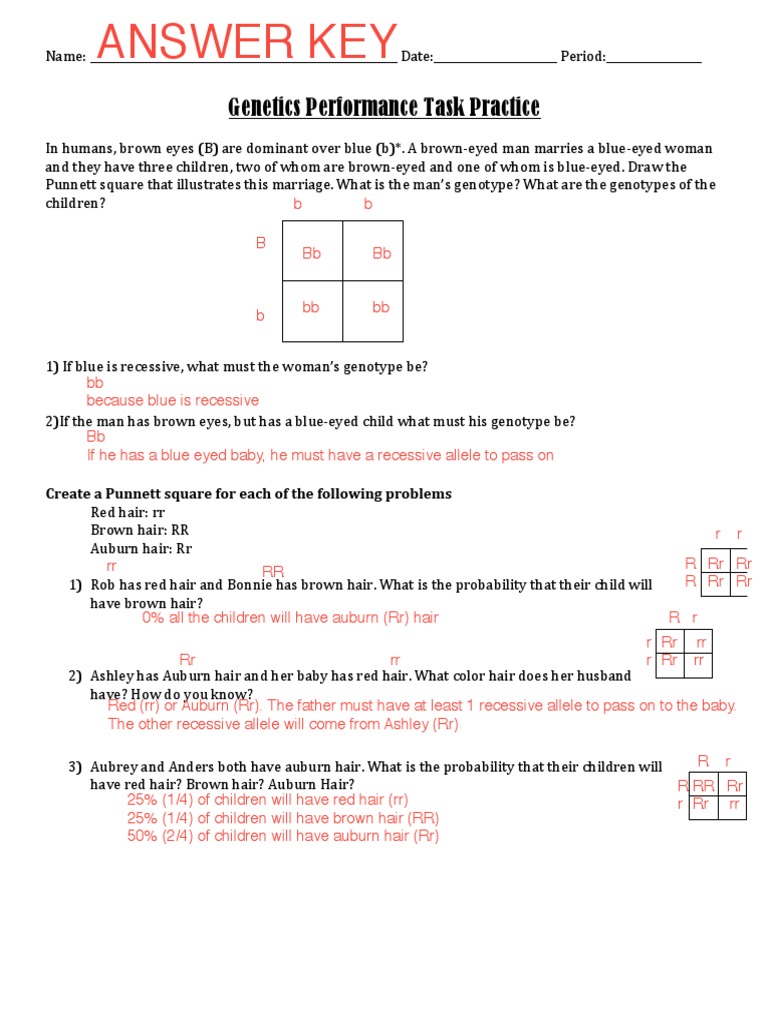 Genetics Punnett Square Practice Guide | PDF