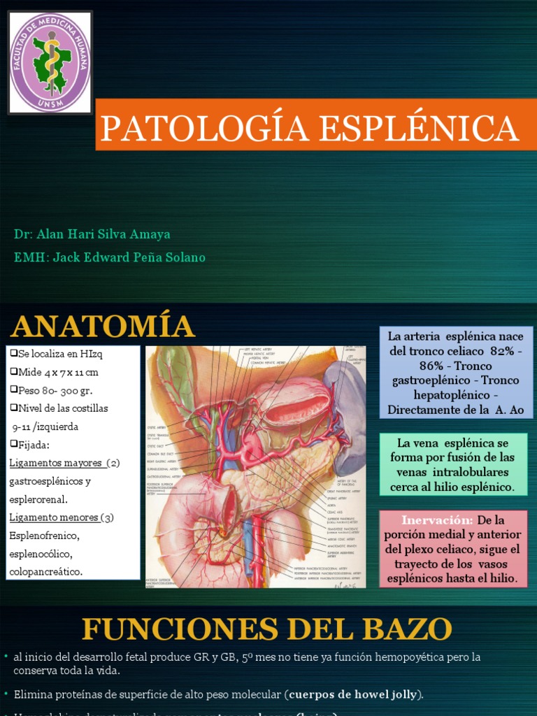 Patología Esplénica | PDF | Cáncer | Bazo