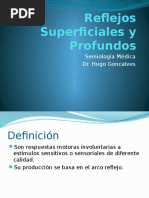 Tracto Rubroespinal | PDF | Cerebro | Neuroanatomía