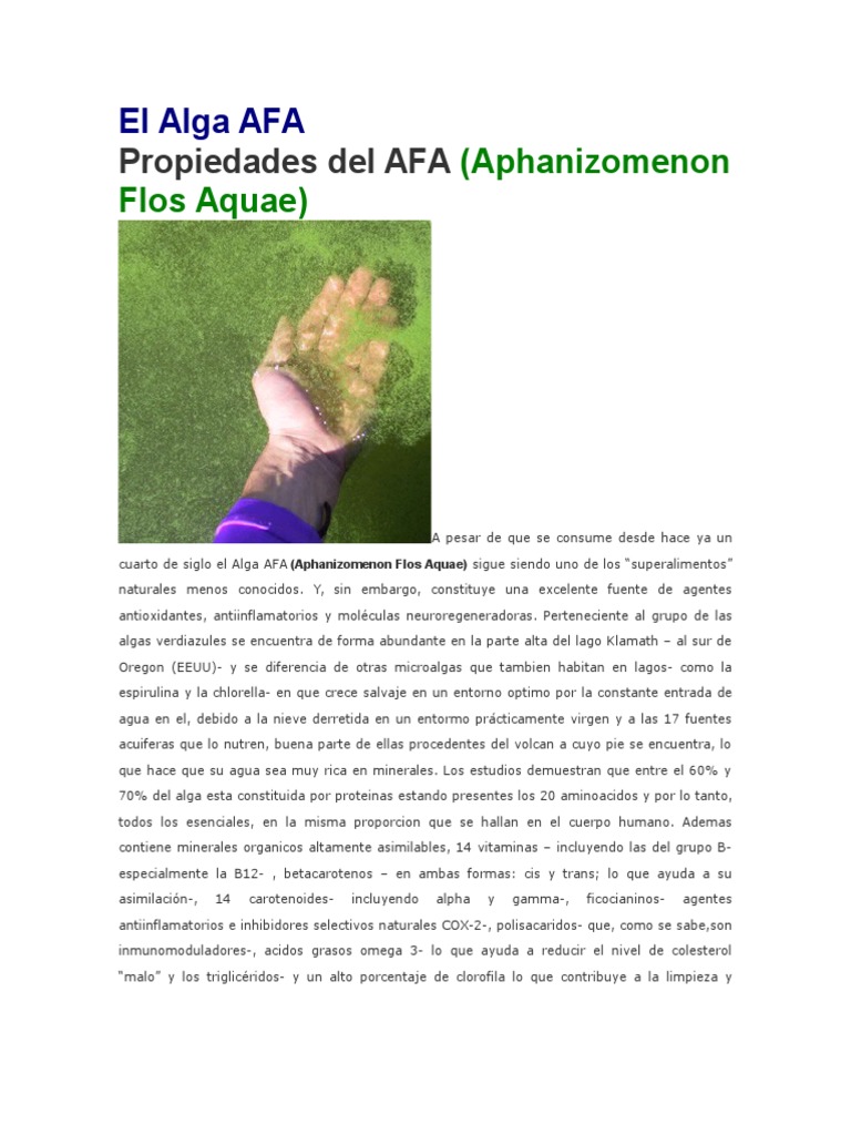 Beneficios y propiedades del alga AFA | PDF | Sistema inmune | Nutrientes