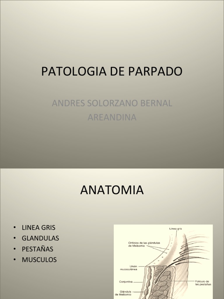 Anatomía y patologías del párpado | PDF | Órgano (anatomía) | Anatomía ...