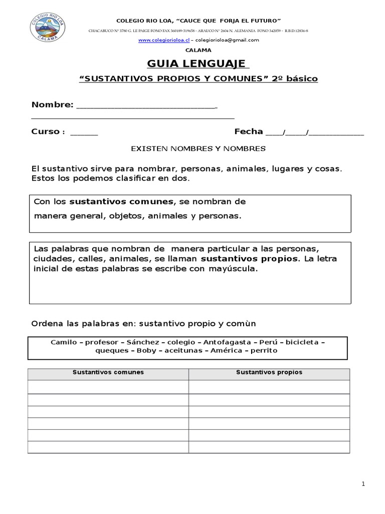 Sustantivos Común y Propio | PDF | Artes del Lenguaje y Comunicación ...