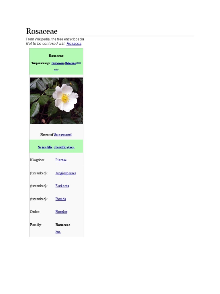 Overview of the Rosaceae Family | PDF