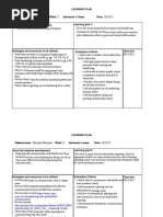 Cno Learning Plan | PDF | Nursing | Goal