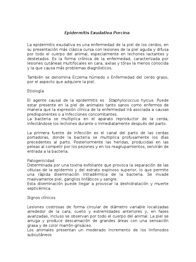 Epidermitis Exudativa | PDF | Piel | Penicilina