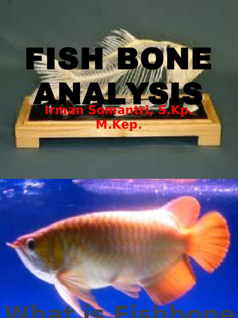 3b. Fish Bone Analysis | PDF | Causality | Medical Diagnosis