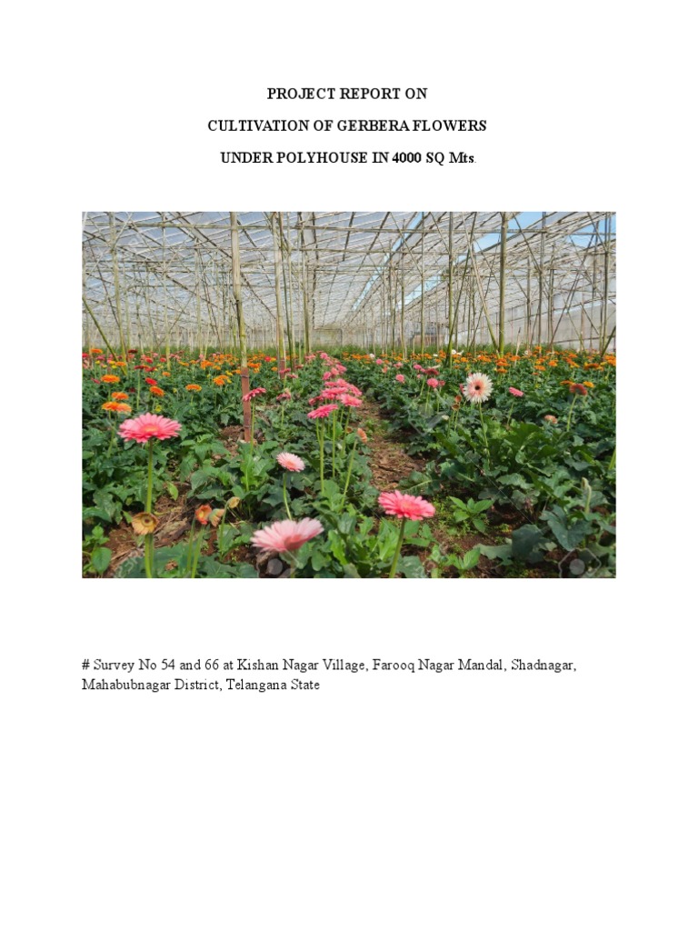 Garbera Flower Project Report Sample | PDF | Horticulture | Soil