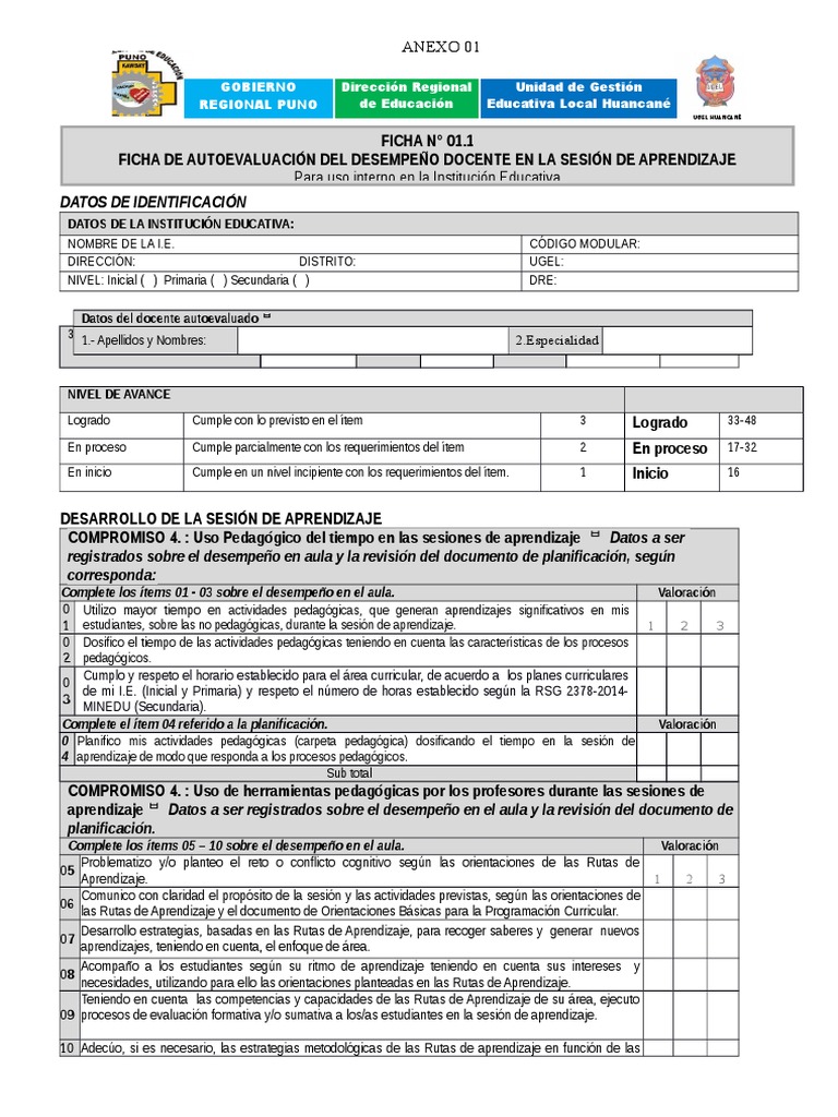 Ficha de Monitoreo | PDF | Evaluación | Aprendizaje