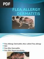 Cytologic Patterns - Eclinpath PDF | PDF | Neoplasms | White Blood Cell