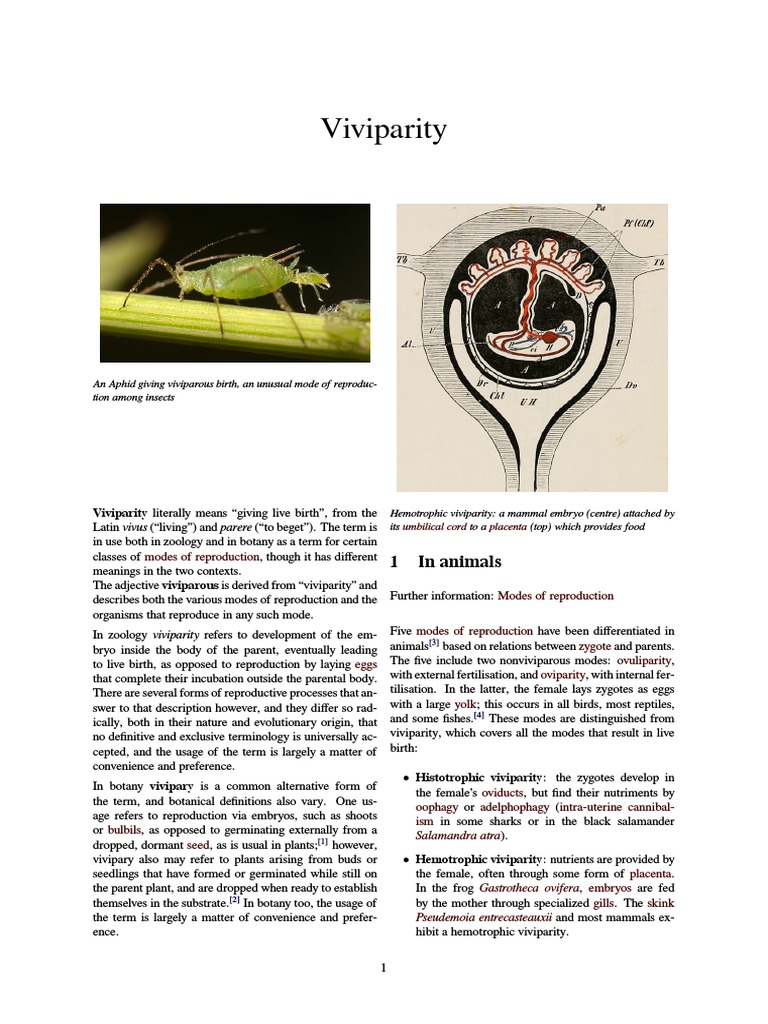 An In-Depth Exploration of Viviparity in Both Animals and Plants | PDF ...
