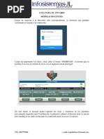 Guía para El Uso Del Sistema Prometeo | PDF | Informática