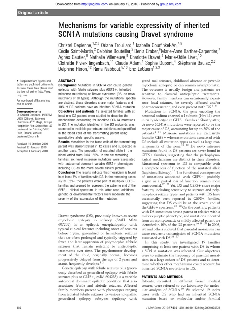 Mechanisms For Variable Expressivity of Inherited SCN1A Mutations ...