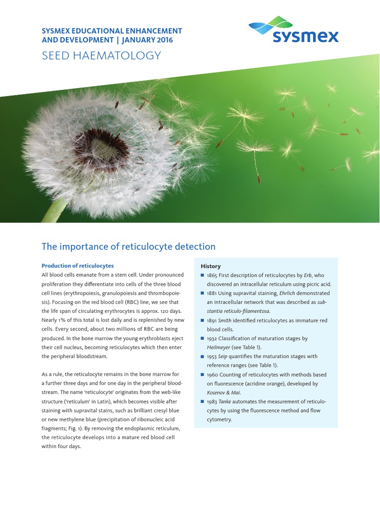 Sysmex SEED The Importance of Reticulocyte Detection | PDF | Anemia ...