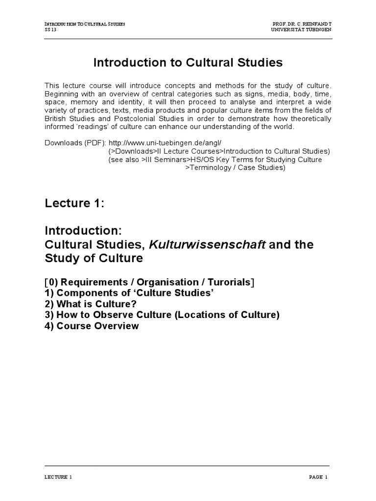 Introduction To Cultural Studies | PDF | Cultural Studies | Adjective