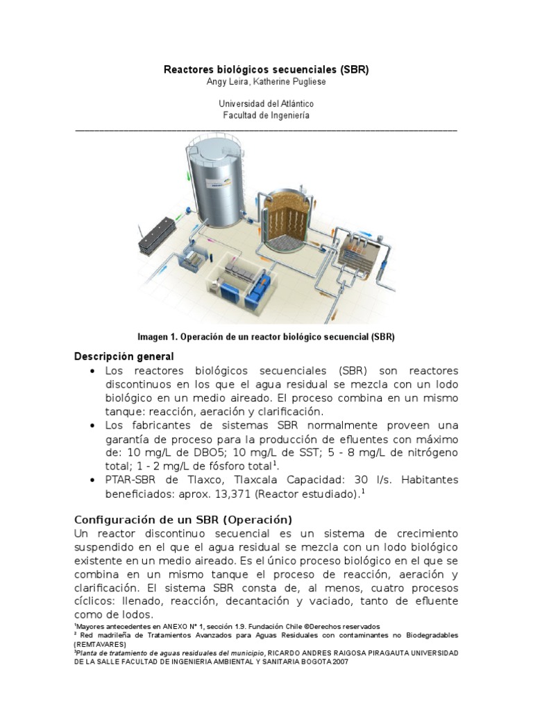 Reactores Biológicos Secuenciales | PDF | Aguas residuales | Ciencias fisicas