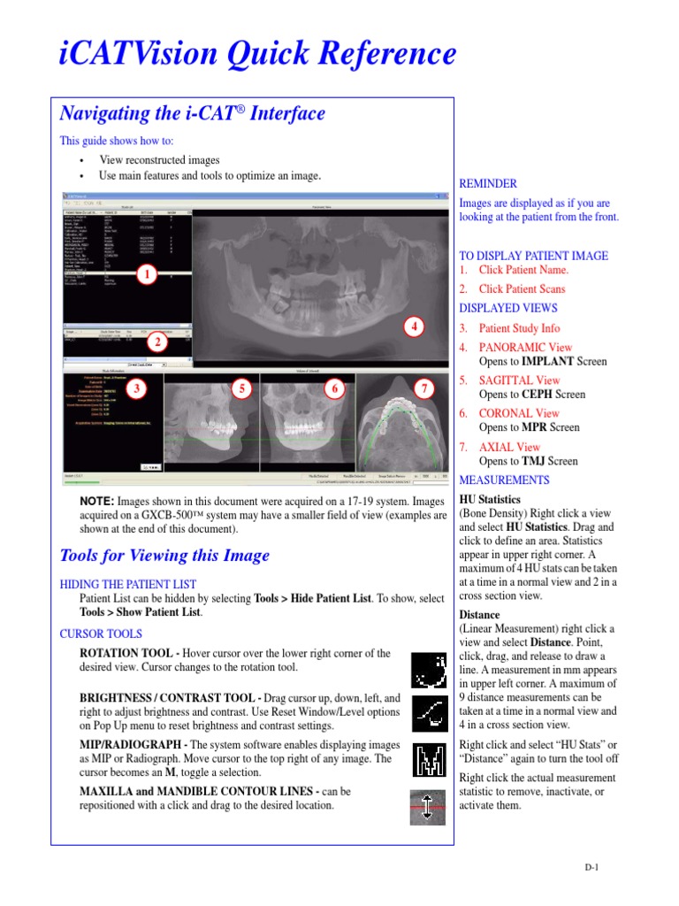 I Cat Vision User Guide | PDF | Voxel | Ct Scan