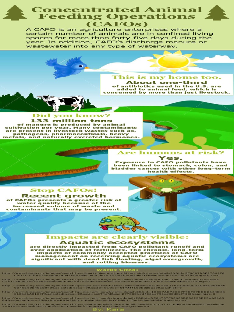 CAFO Infographic | PDF