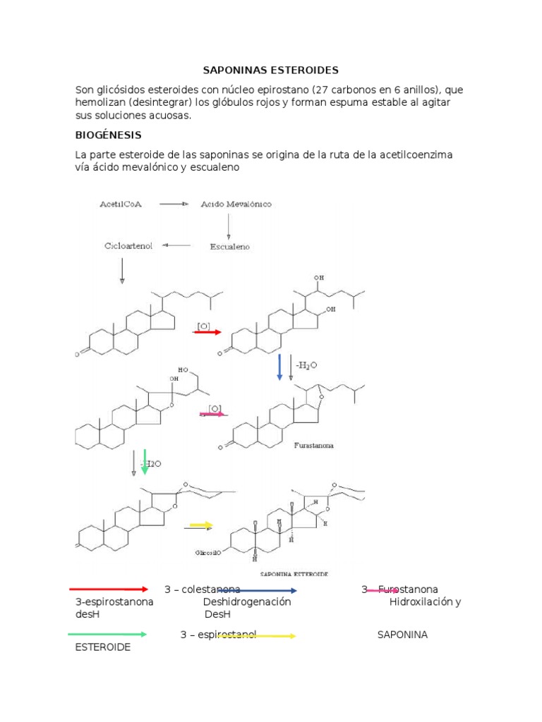 Saponinas Esteroides | PDF | Carbohidratos | Enlace químico