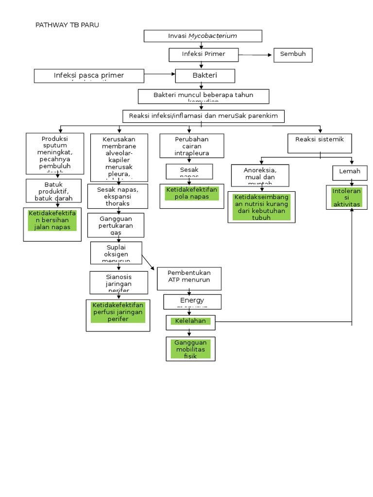 Pathway TB Paru | PDF