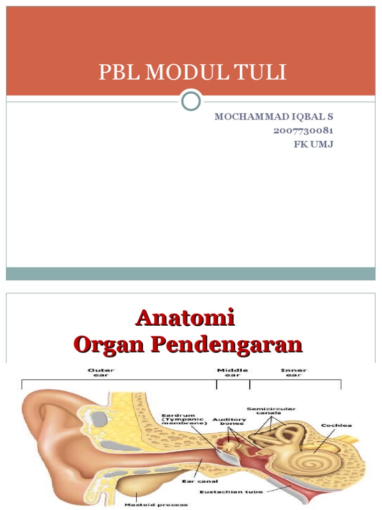 Anatomi & Histologi Telinga | PDF