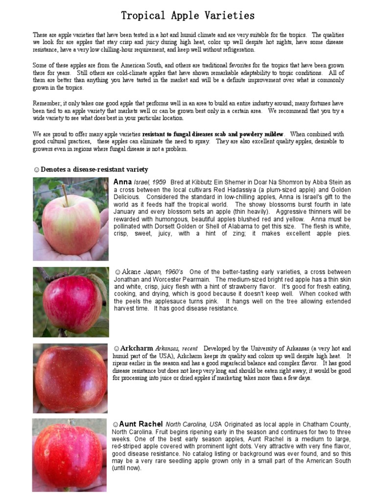 Tropical Apple Varieties | PDF | Apple | Edible Fruits