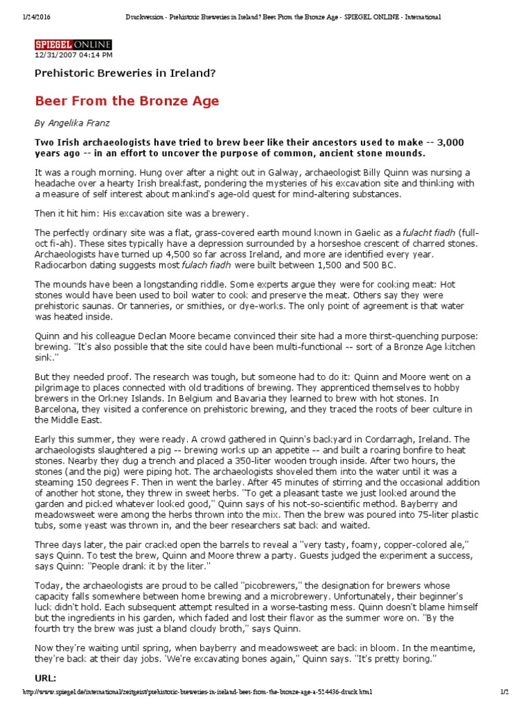 Beer From The Bronze Age: Prehistoric Breweries in Ireland? | PDF ...