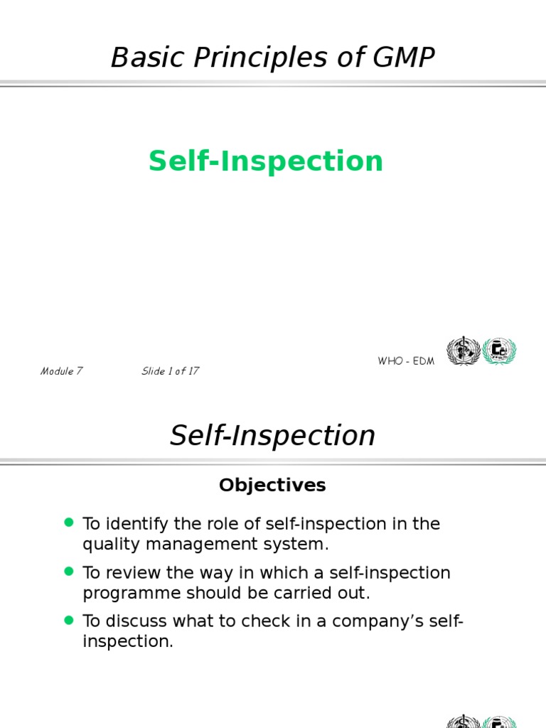 Basic Principles of GMP: Self-Inspection