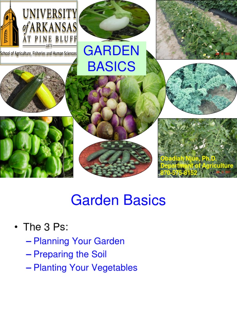 Garden Basics | PDF | Vegetables | Gardens