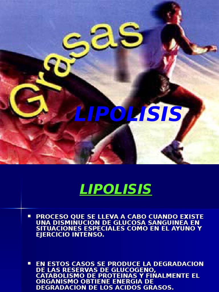 LIPOLISIS | PDF | Trifosfato de adenosina | Nucleótidos