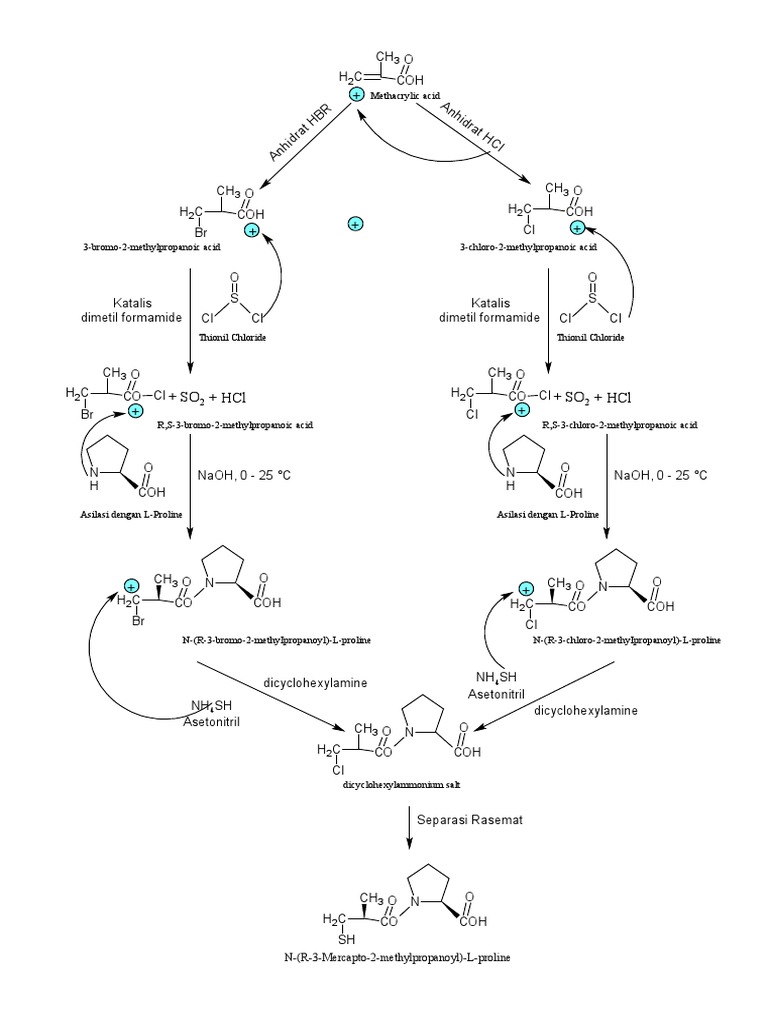 Synthesis of Proline Derivatives | PDF | Teaching Methods & Materials