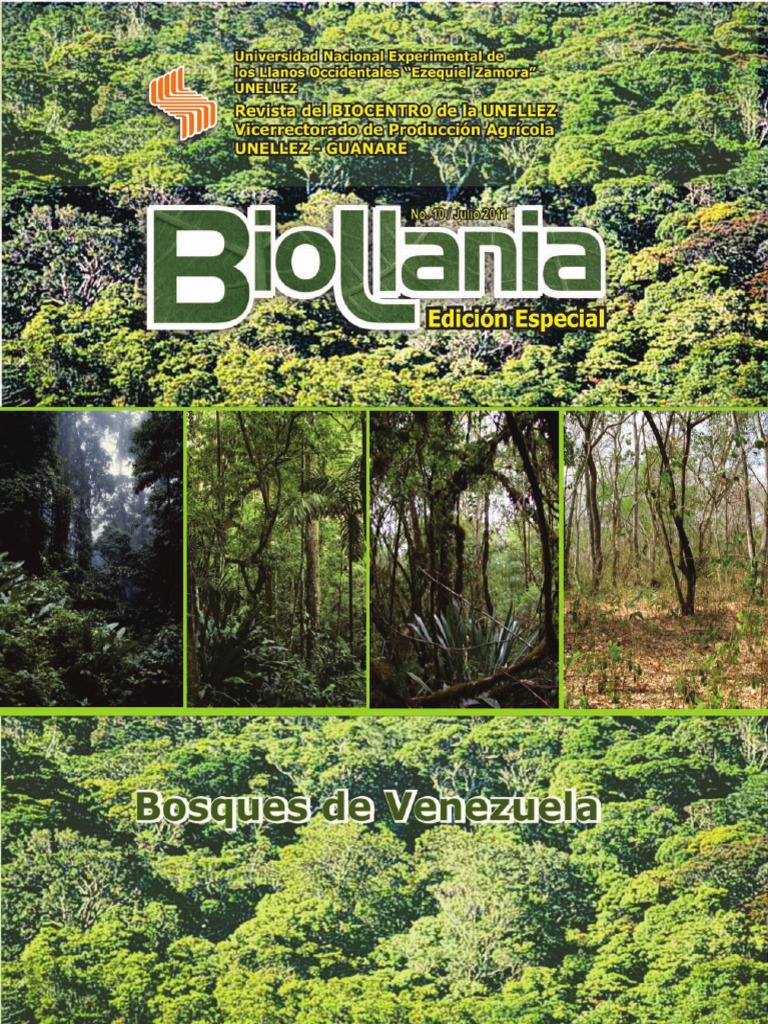 Bosques en Venezuela | PDF | Los bosques | Venezuela