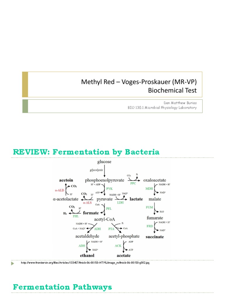 MR-VP Test (Methyl Red Voges-Proskauer Test) BURIAS | PDF ...