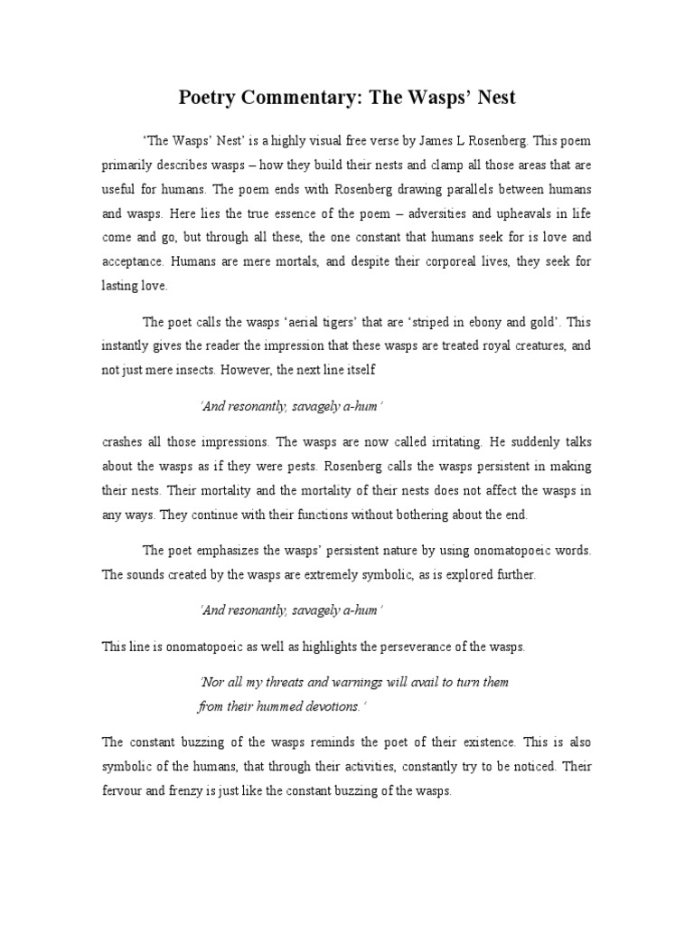 The Wasps' Nest Poetry Commentary | PDF | Poetry | Wasp