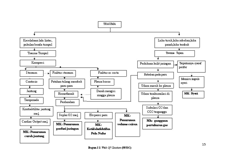 WOC Trauma Thorak | PDF