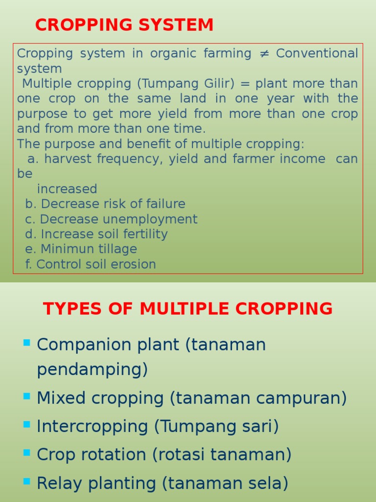 Crop Rotation - Revisi Design | PDF | Crop Rotation | Legume