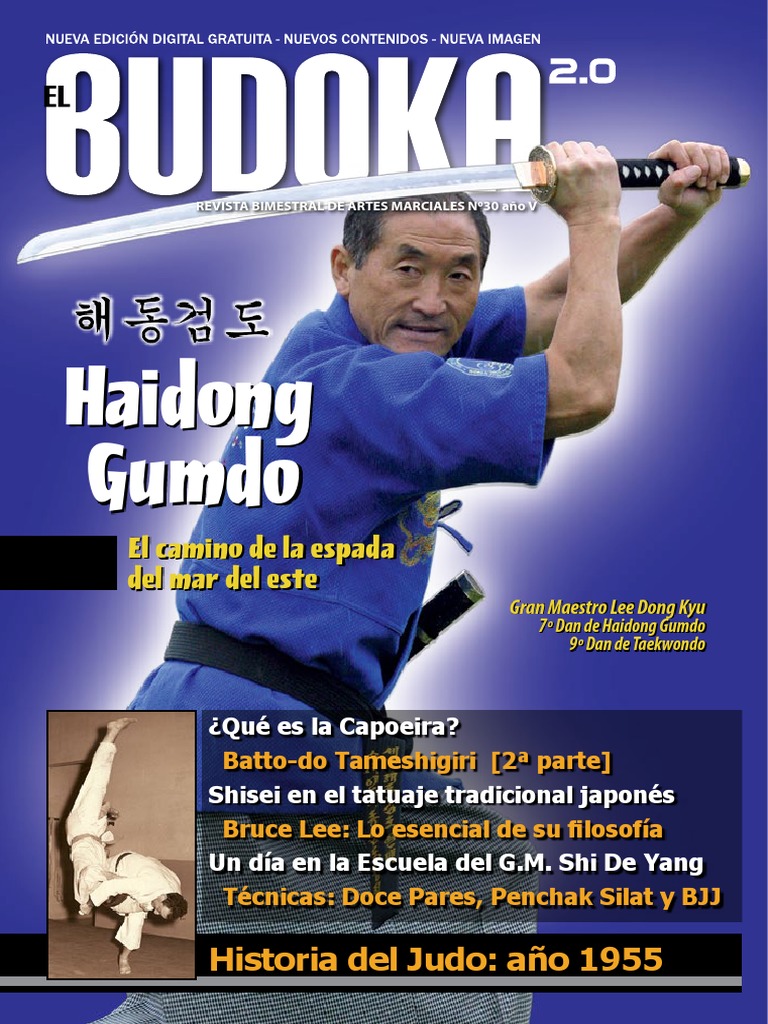 Budoka 30 | Descargar gratis PDF | Taekwondo | Qigong