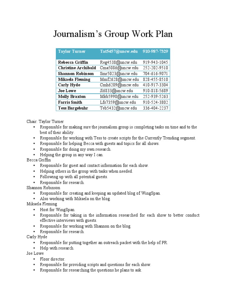 Journalism Group Work Plan Overview | PDF