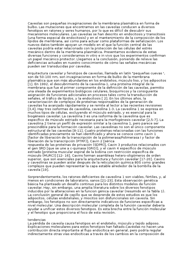 Funciones y Fenotipos de Caveolas | PDF | Transducción de señales ...