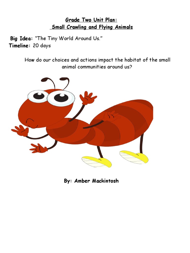 Unit Plan - Small Crawling and Flying Animals | PDF | Insects | Predation