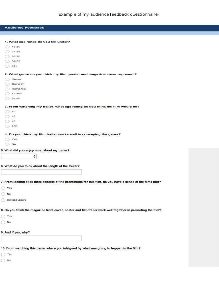 Example of My Audience Feedback Questionnaire | PDF