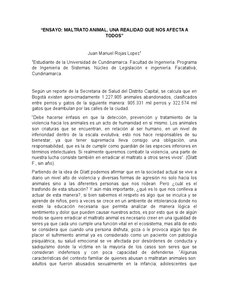 ENSAYO Maltrato Animal | Crueldad hacia los animales | Abuso infantil
