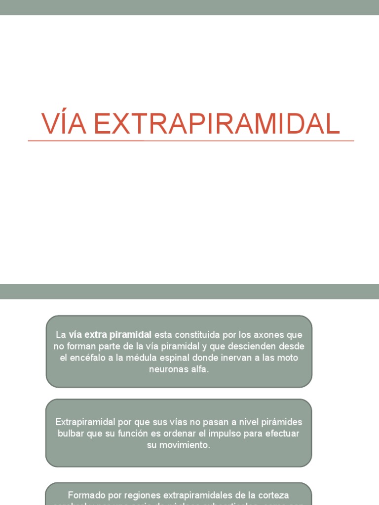 Via Extrapiramidal | PDF | Salud y bienestar