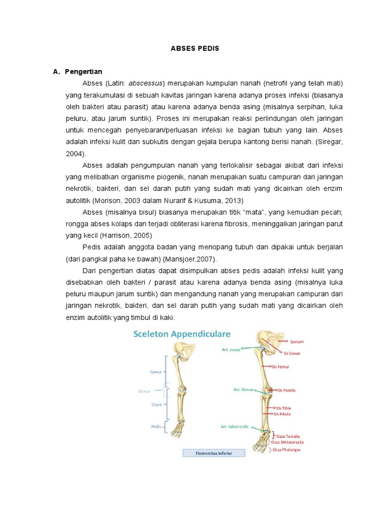 Pengertian dan Penanganan Abses Pedis | PDF
