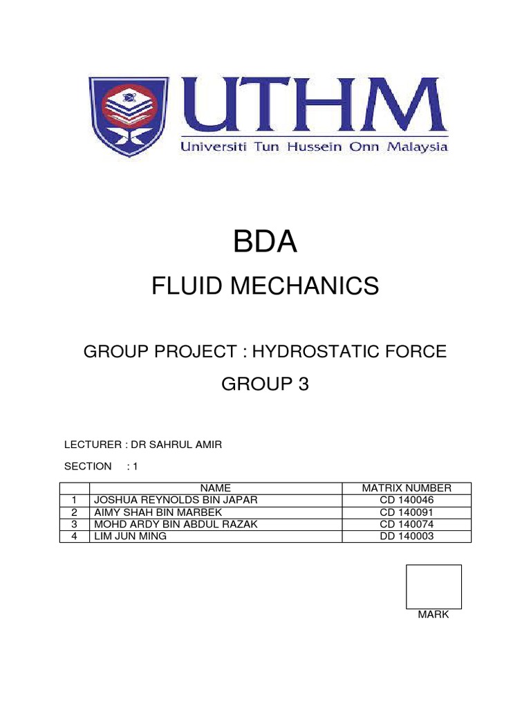 Fluids Mechanics Group Project Pdf Soft Matter Pressure