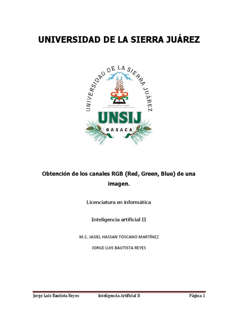 Extracción de Los Canales RGB de Una Imagen | PDF | Modelo de color Rgb ...